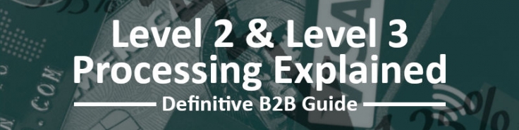 Definitive B2B Guide: Level 2 and Level 3 Processing Explained | Leap ...