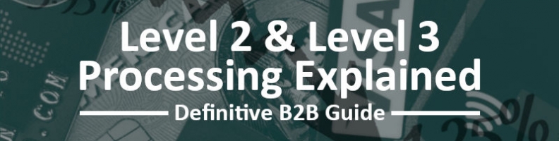 Definitive B2B Guide: Level 2 and Level 3 Processing Explained | Leap ...